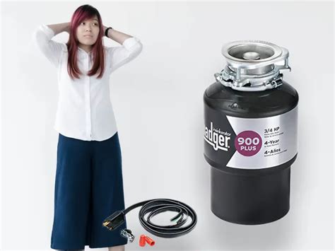 Clean Insinkerator Badger 900 Using Reset Button And Reset