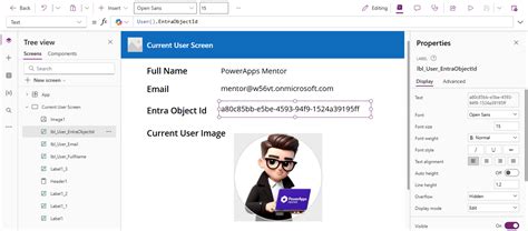 What Is Powerapps User Function And Whats The Purpose Of It With Examples By Powerapps Mentor