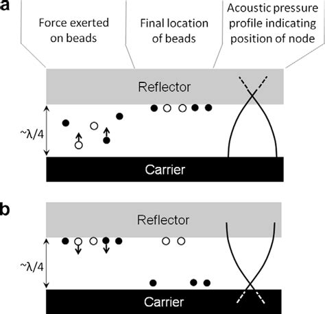Multi Modal Function Of Device Showing Force On Beads Final Location