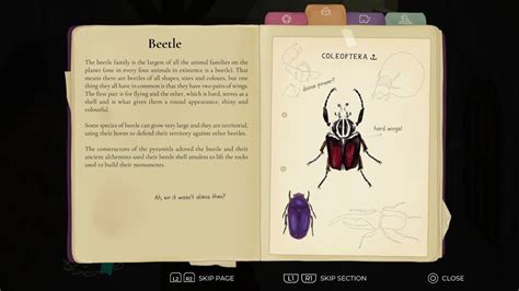 Clem Full Walkthrough Chapter 4 Strength