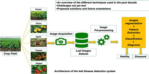 Relevance Of Advanced Plant Disease Detection Techniques In Disease And Pest Management For