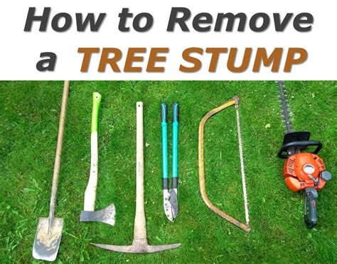 How To Remove A Tree Stump Easily Dengarden