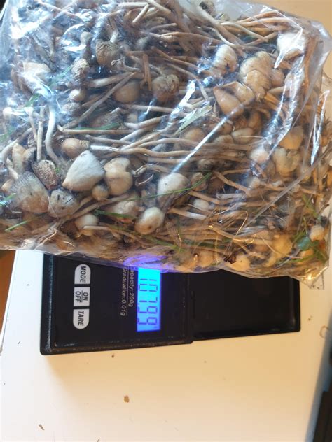 32 Best Ubaitrix Images On Pholder Memes Norge And 3 Dprinting