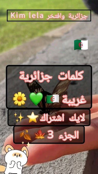 الجزائر بنات Love Youtube