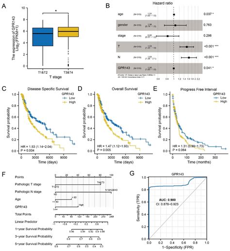 Clinicopathological Correlation Prognostic And Diagnostic Potential