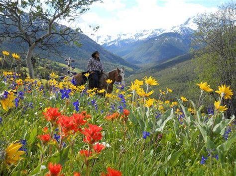 Ranch Manager Needed At Canadian Guest Ranch