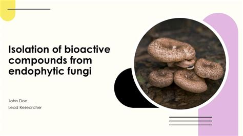 Top 10 Isolation Of Fungi From Leaf Powerpoint Presentation Templates In 2025