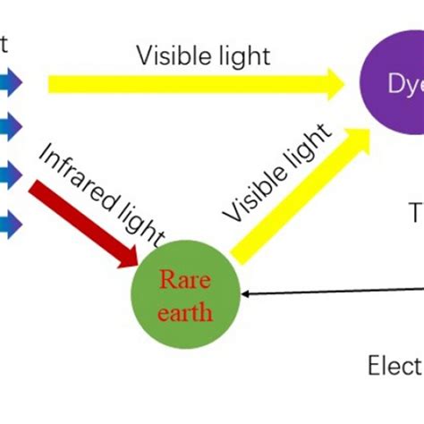 Schematic Diagram Of The Structure And Principle Of The Uc Material Download Scientific Diagram