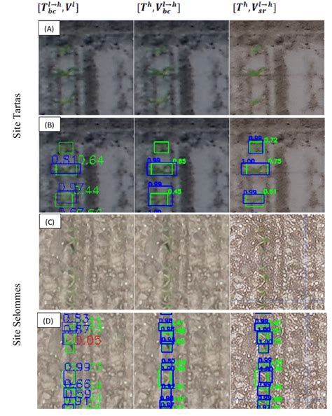 Illustration Of The Performance Of The Faster Rcnn Model On The Download Scientific Diagram