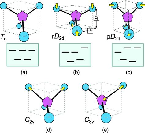 Structural Distortions And Splittings Of D Shell Singleparticle Levels