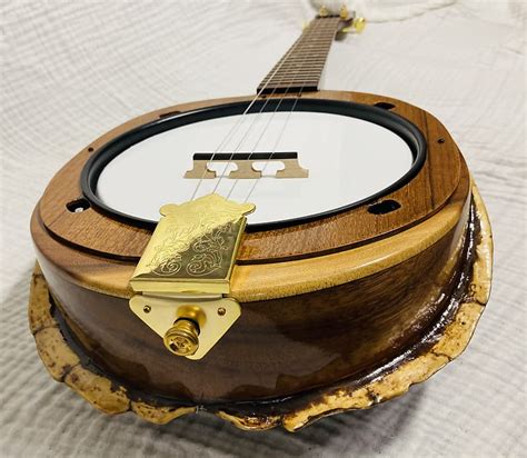 Turtle Shell Tenor Banjo Reverb