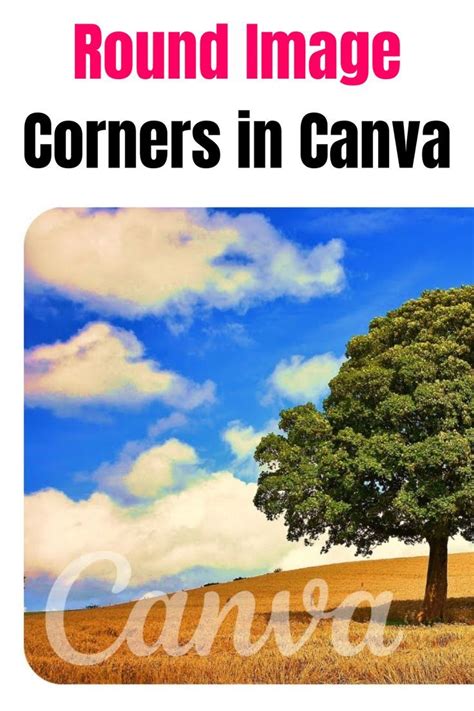 Round Image Corners In Canva