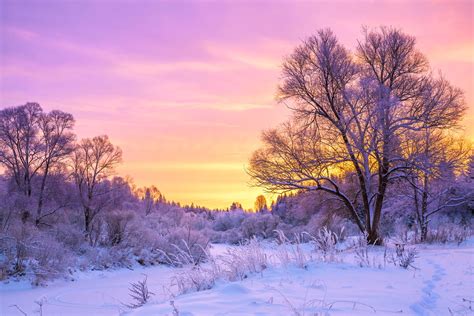 Winter Landscape