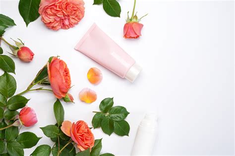 흰색 배경에 장미 꽃이 있는 아름다운 크림 병과 튜브의 평평한 레이아웃 부드러운 스킨케어 컨셉 평면도 문자를 위한 공간 0명에 대한 스톡 사진 및 기타 이미지 Istock