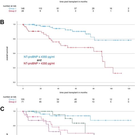 Distribution Of Pre Transplant Nt Probnp Levels Download Scientific Diagram