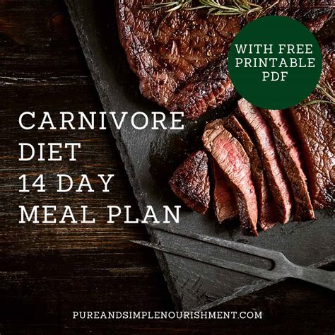 Carnivore Diet Meal Plan 2025