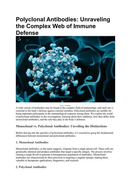 Monoclonal Vs Polyclonal Antibodies Detail Exploration The