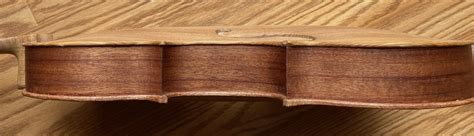 Projection Drop With String Tension The Pegbox Maestronet Forums