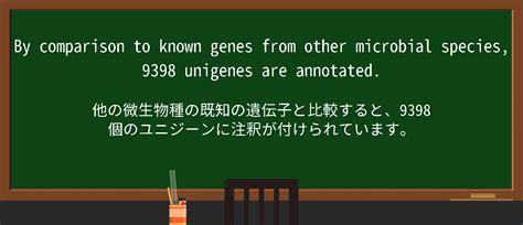 【英単語】microbial Speciesを徹底解説！意味、使い方、例文、読み方 おもしろい英文法