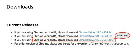 Download Chromedriver For Mac Letzdotesting