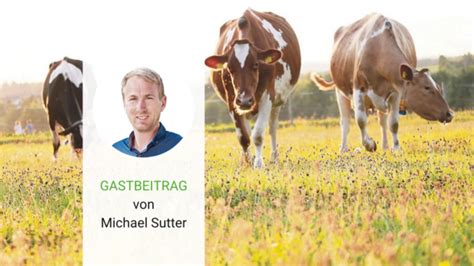 Andreas Stucki Wie Versichere Ich Landwirtschaftliches Inventar Richtig Bauernzeitungch