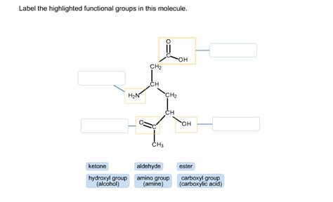 Solved Label The Highlighted Functional Groups In This