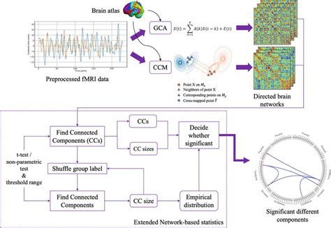 Resting State Brain Network Analysis Methods And Applications Intechopen