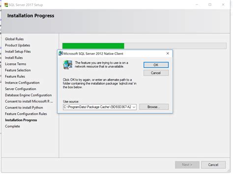 Download Sql Server Native Client 10 Passaaudit