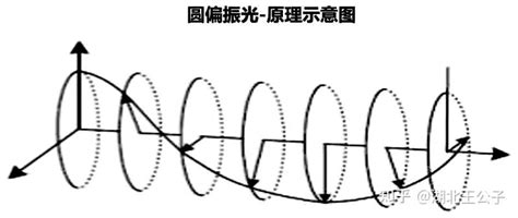 Lcd屏幕和oled屏幕发出的是线偏振光还是圆偏振光？ 知乎