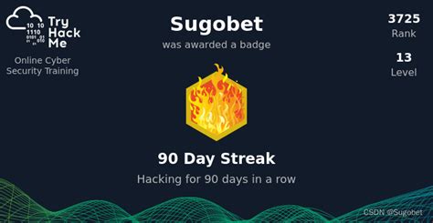 welcome to tryhackme 我在tryhackme学习的第90天 tryhackme 学完可以达到什么水平 csdn博客