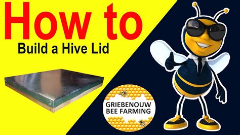 How To Build A Lid For A Bee Hive Langstroth Hive Youtube