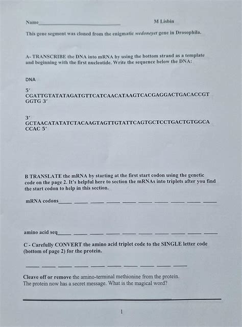 Solved This Gene Segment Was Cloned From The Enigmatic