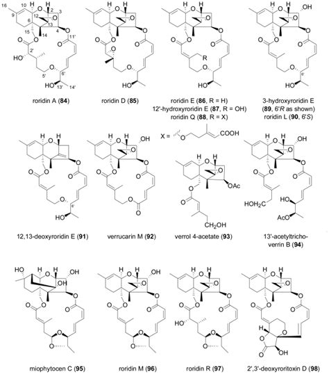Terpenes From Marine Derived Fungi Abstract Europe Pmc