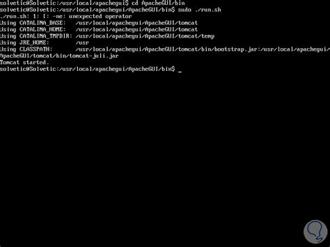 Cómo Instalar Apache Gui En Ubuntu 18 Solvetic