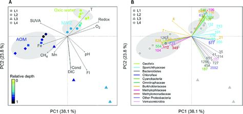 Microbial Community Structure A Principal Component Analysis Pca Download Scientific