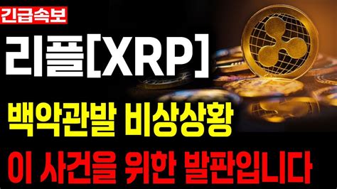 리플 전망 백악관발 비상사태 터졌습니다 빨리 보세요 Xrp 엑스알피 Xrpcoin 업비트시황 코인시황 급등코인추천리플대응 Youtube