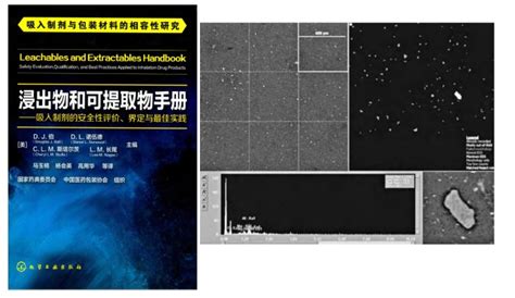 扫描电镜全自动颗粒检测系统检测注射剂药品中不溶性微粒