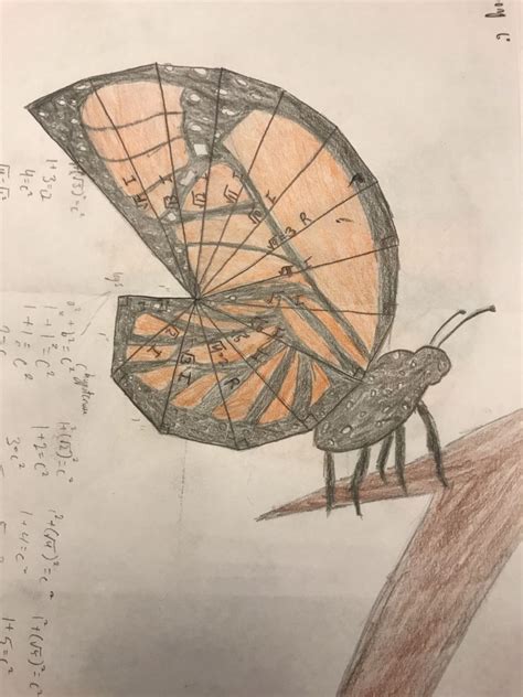 Spiral Of Pythagoras Year 4 Artofit