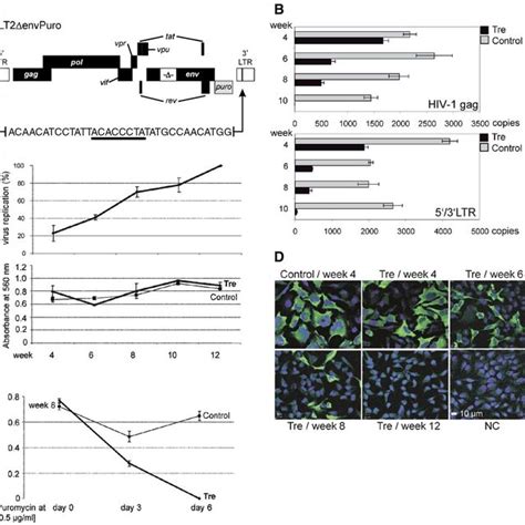 Tre Mediated Recombination Of Hiv 1 Proviral Dna A Schematic Diagram Download Scientific