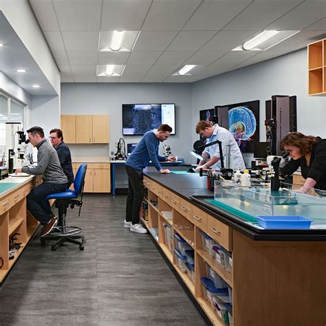healthcare development services switchback medical