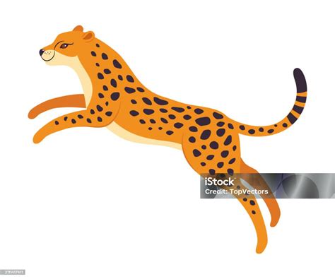 뛰어오르는 표범 로서 야생의 고양이 와 길다 더럽혀진 몸 벡터 일러스트 0명에 대한 스톡 벡터 아트 및 기타 이미지 0명 개념 고양잇과 Istock
