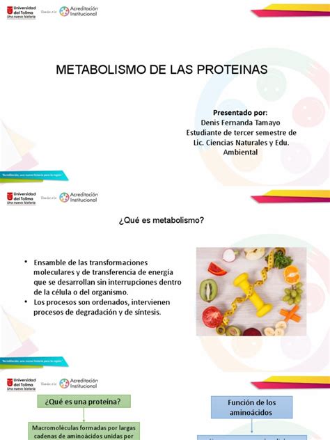 Metabolismo De Las Proteinas Pdf