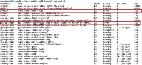 How To Fix The Pods Which Are In Error Status Linux NVIDIA Developer Forums