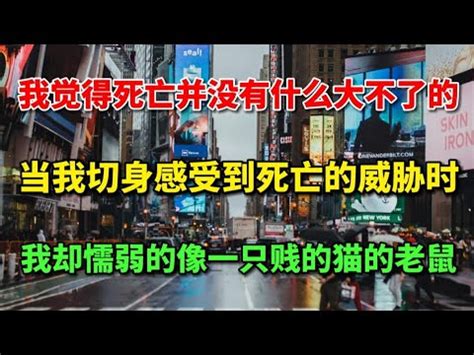 澳門賭場故事跑路往事二十九我觉得死亡并没有什么大不了的然而此时当我切身感受到死亡的威胁时我却懦弱的像一只贱的猫的老鼠 澳门