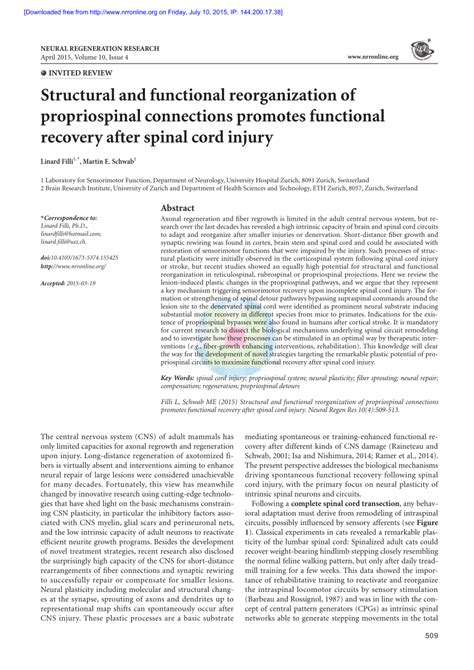 Pdf Structural And Functional Reorganization Of Propriospinal Connections Promotes Functional