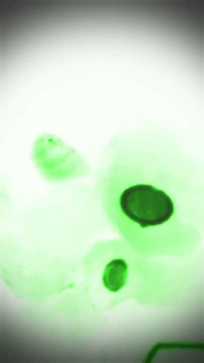 Байк и девушка и упал девушка Youtube