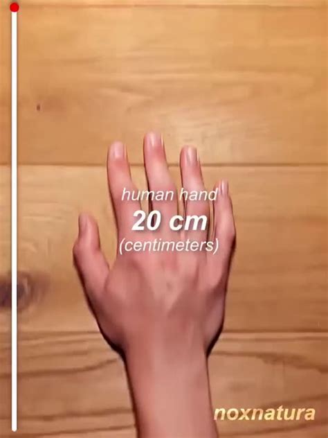 Naveed Rizvi On Linkedin Lets Dive Deep Into Human Skin So Which Of