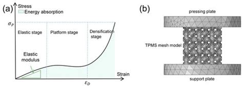 The Laser Selective Sintering Controlled Forming Of Flexible Tpms