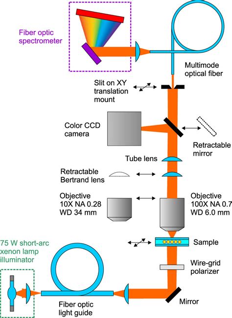 Schematic Of Experimental Setup Used For BFP Spectrometry Download Scientific Diagram