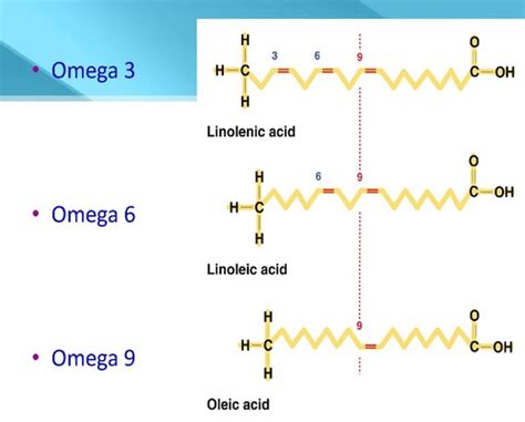 Lipid Flashcards Quizlet